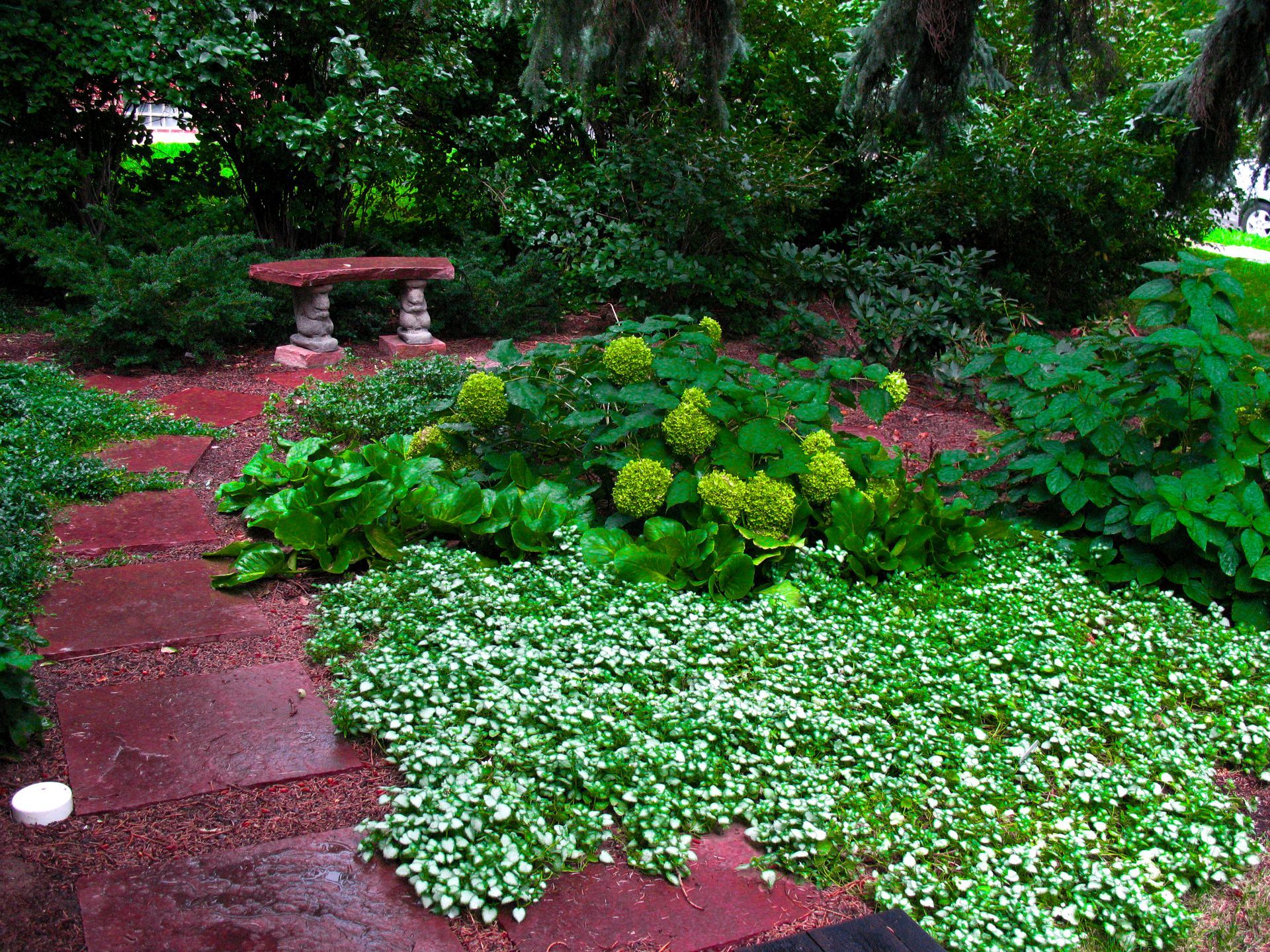 Backyard Landscapers Denver, CO | Phase One Landscapes, Inc.
