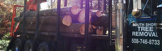 Log Hauling Marshfield MA | Plymouth Tree Logs - South Shore Tree ...