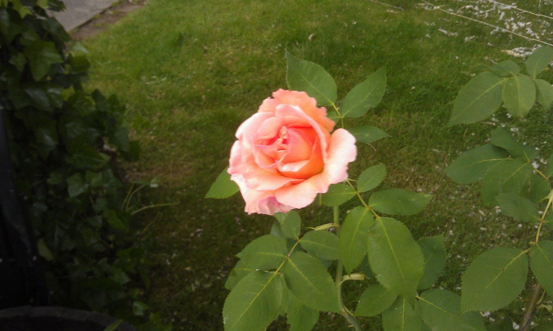 Sandy Riverfront RV Resort Gallery | Troutdale, OR