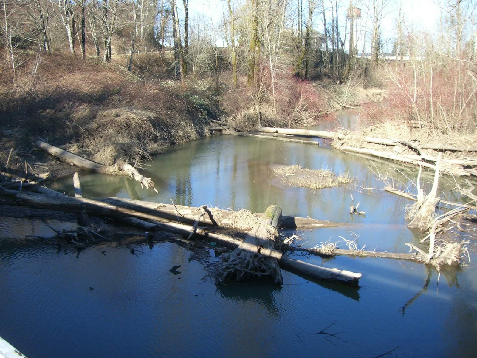 Sandy Riverfront RV Resort Gallery | Troutdale, OR