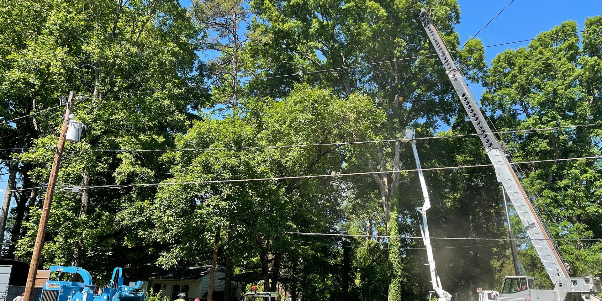 Tree Trimming Companies Winston Salem, NC