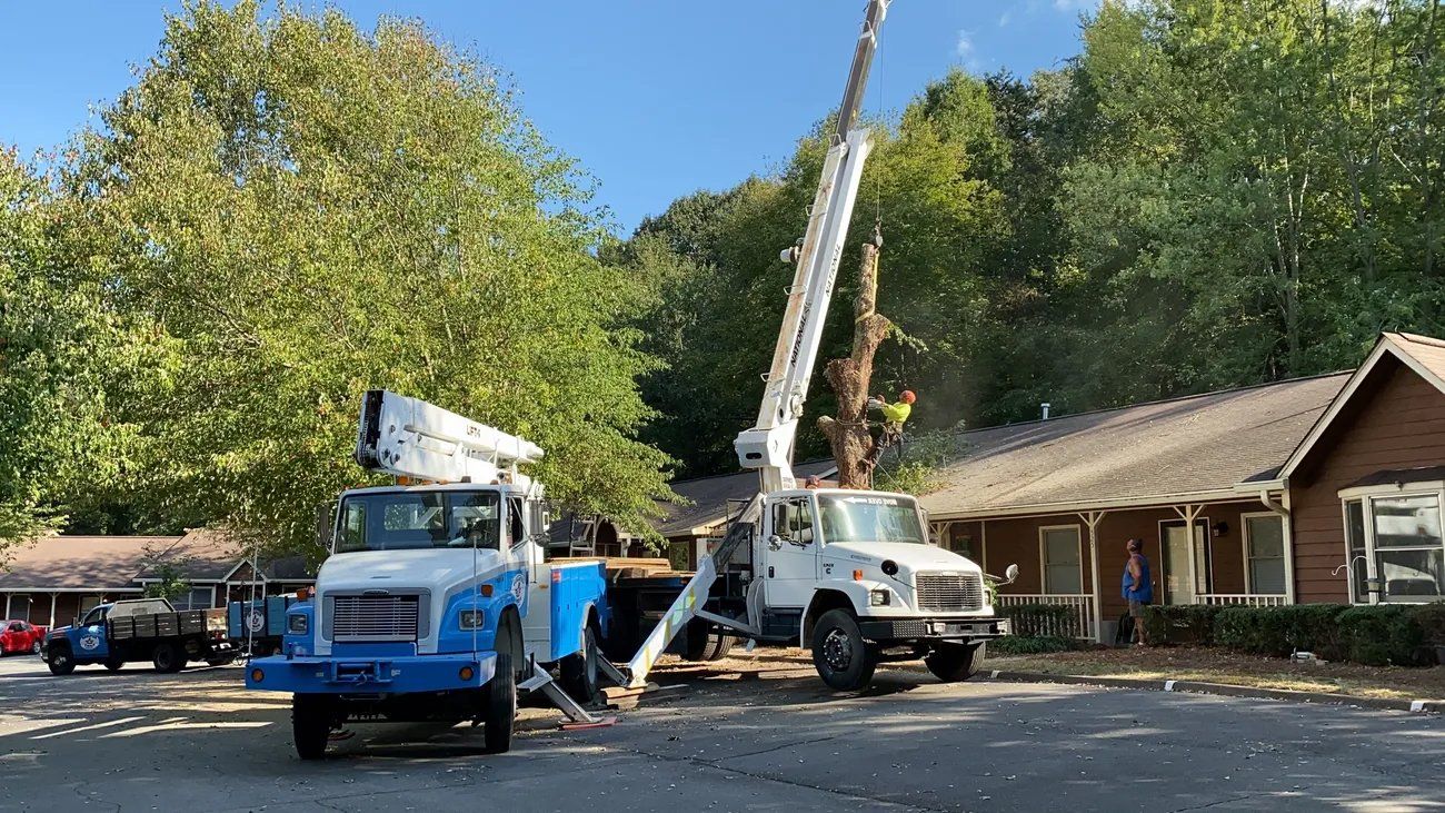 Tree Removal Services Winston Salem | Godspeed Tree Service