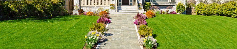 B.W. Landscaping & Snow Removal LLC | Harrison Township