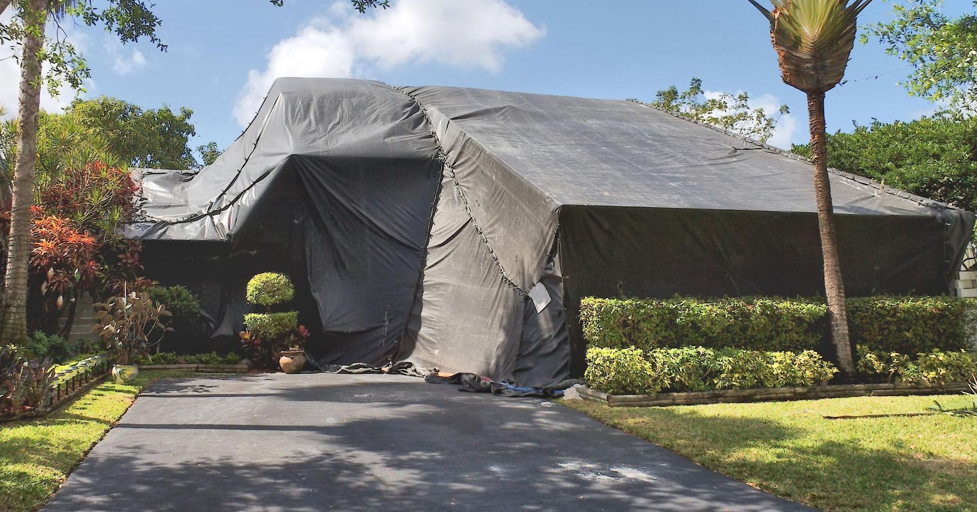 Local Termite Control Treatments | Los Angeles County, CA
