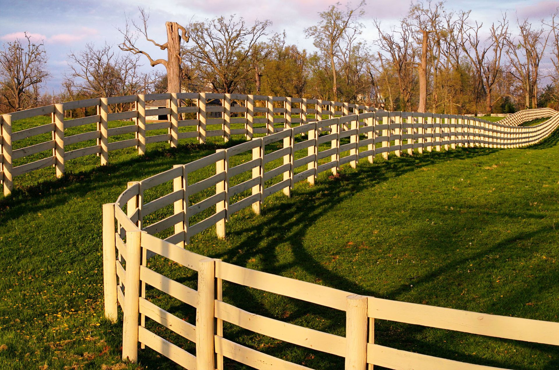 Hi-Tensile Fencing | Union Bridge, MD