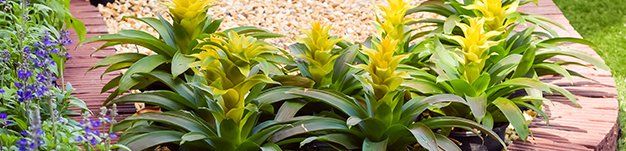 Garden Design | Vegetable Garden | Simi Valley, CA