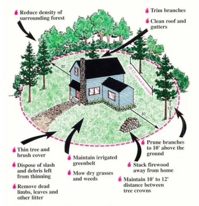 Expert Arborist Services | Roots and Shoots LLC