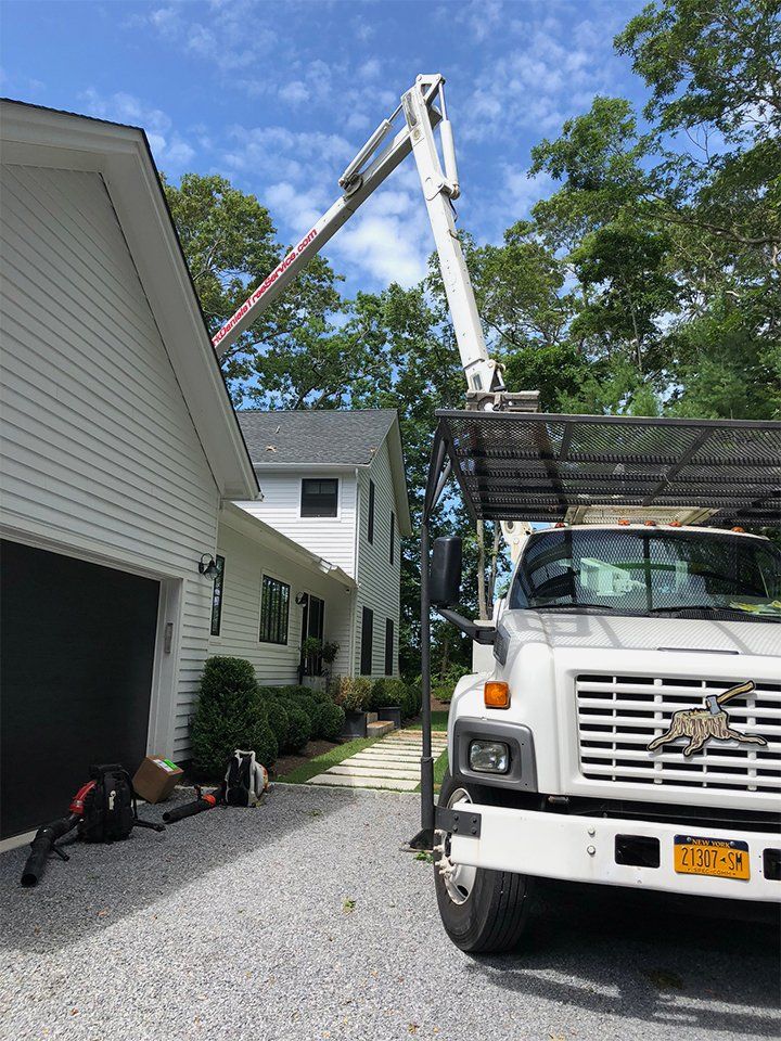Mark Daniels Tree Service | Tree Removal | Pruning | East Hampton, NY