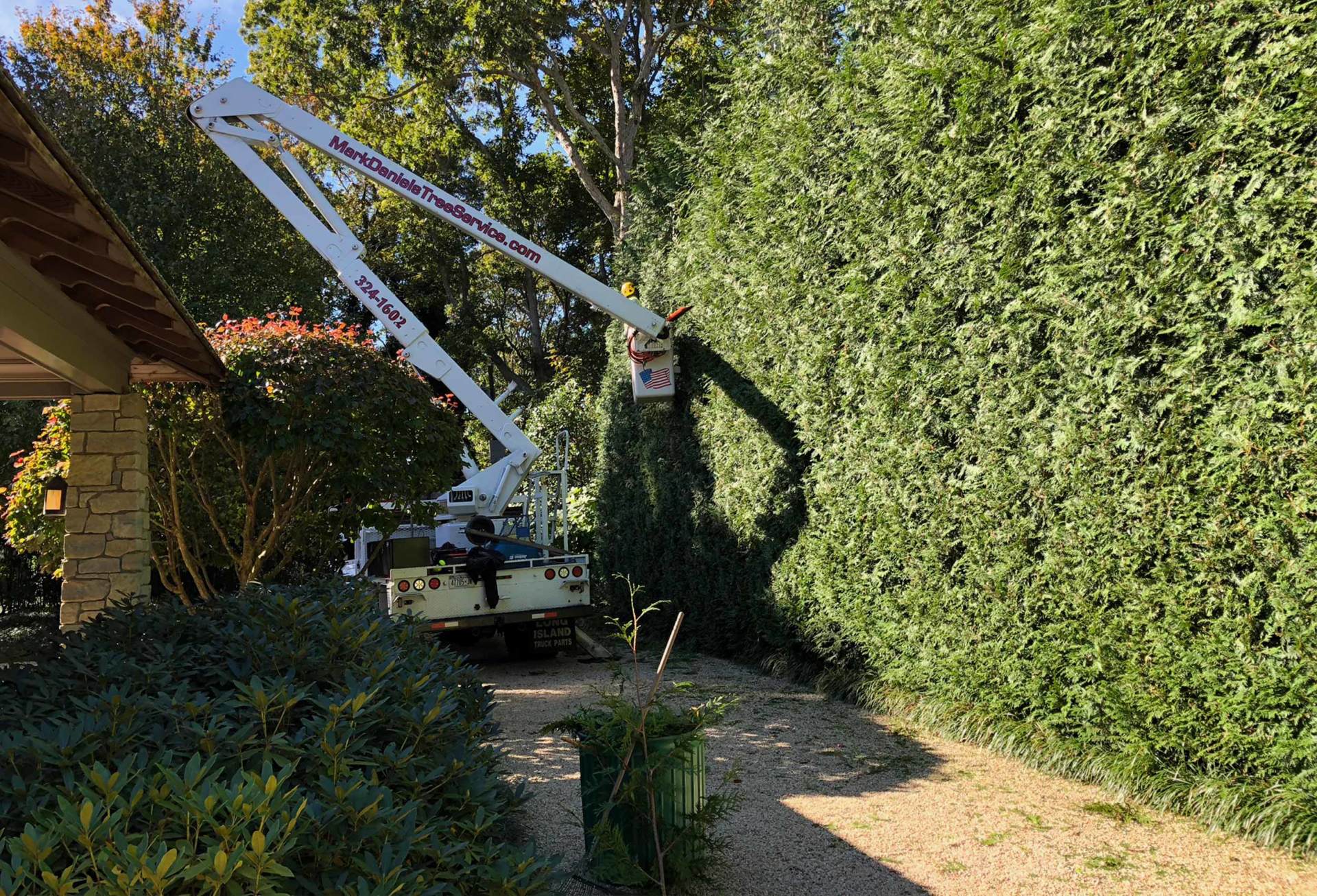 Mark Daniels Tree Service | Tree Removal | Pruning | East Hampton, NY
