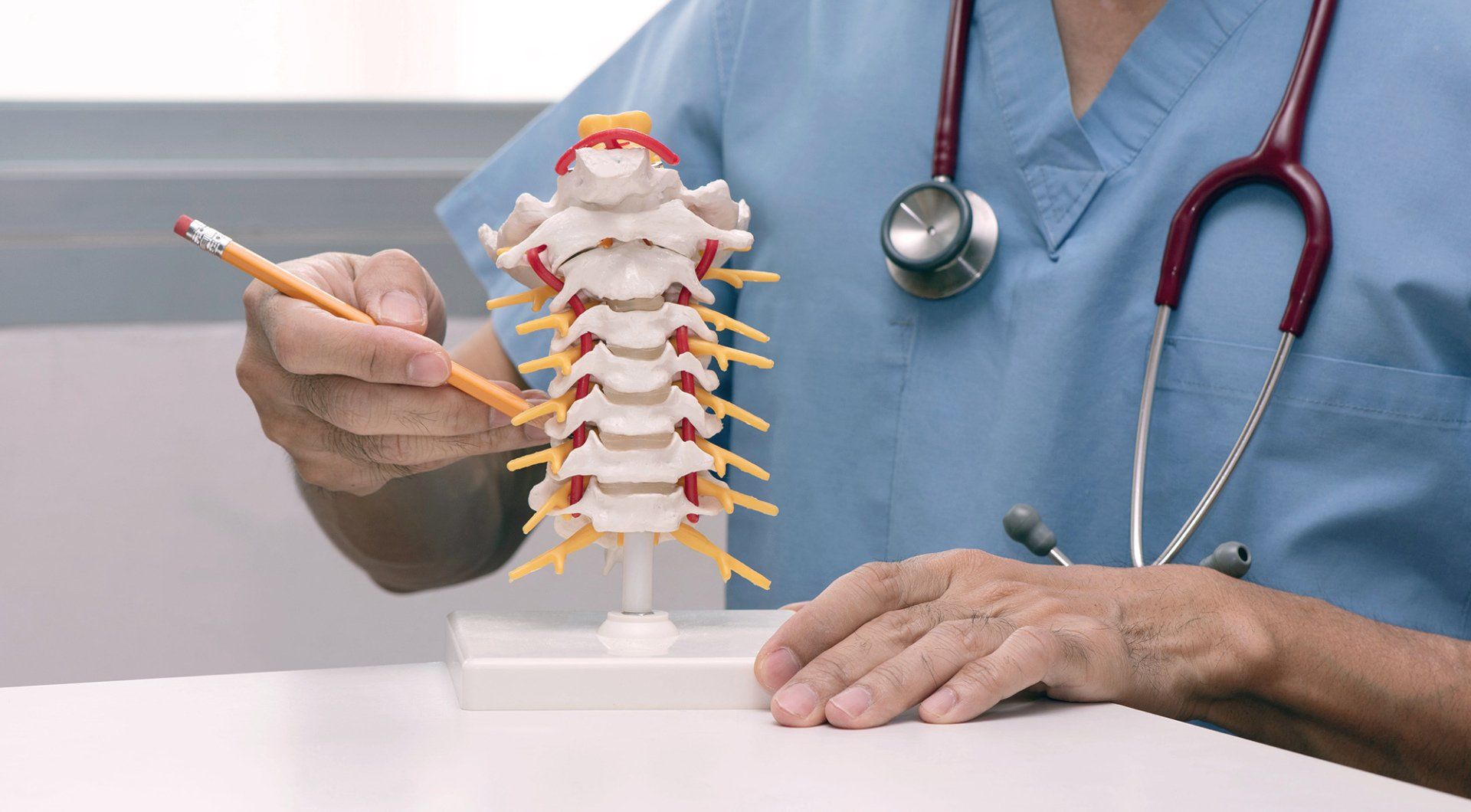 Chiropractor Meadowlands Chiropractic Center P. A. Lyndhurst