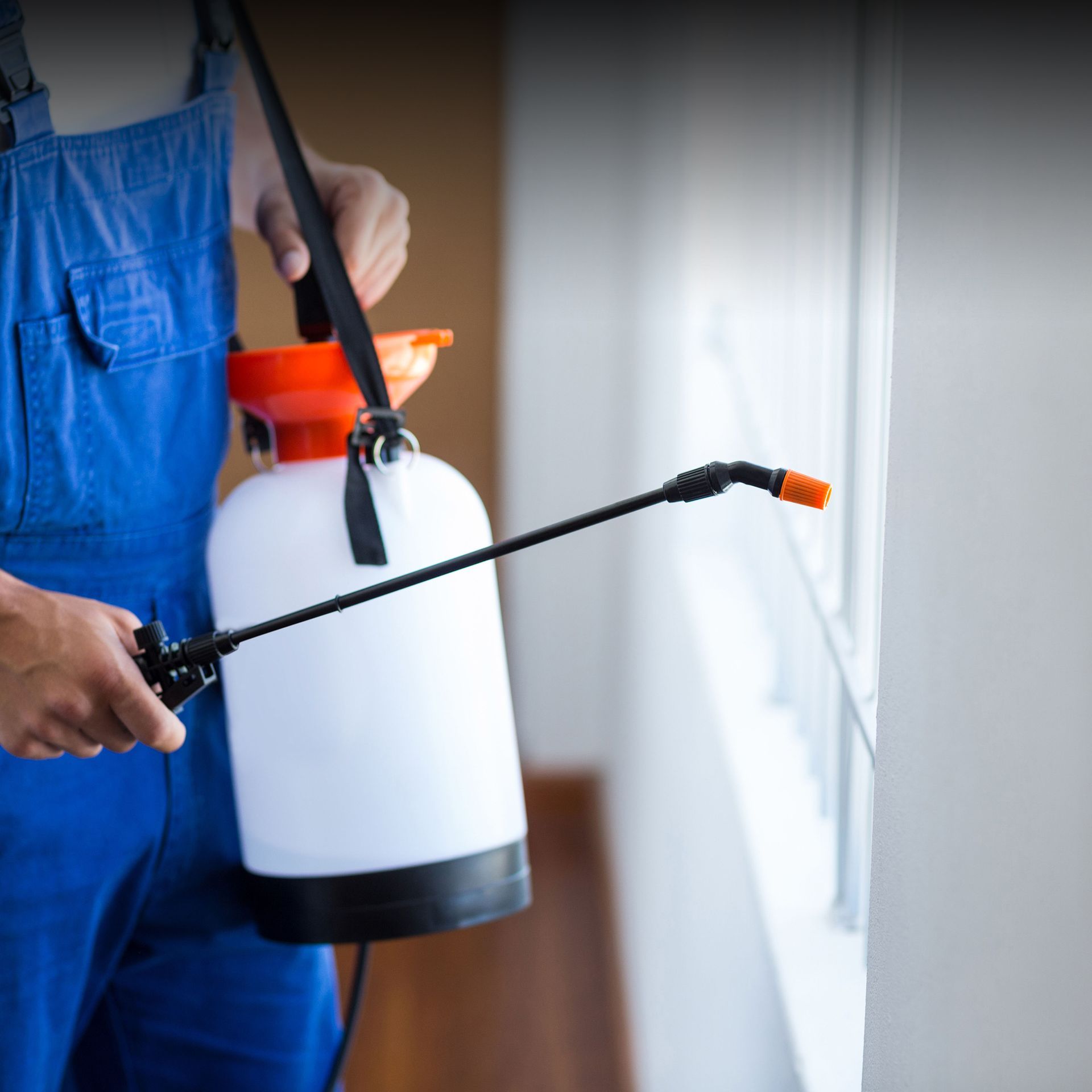 Exterminator | Budget Termite & Pest Control Inc | Rhode Island and ...