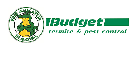 Budget pest control store