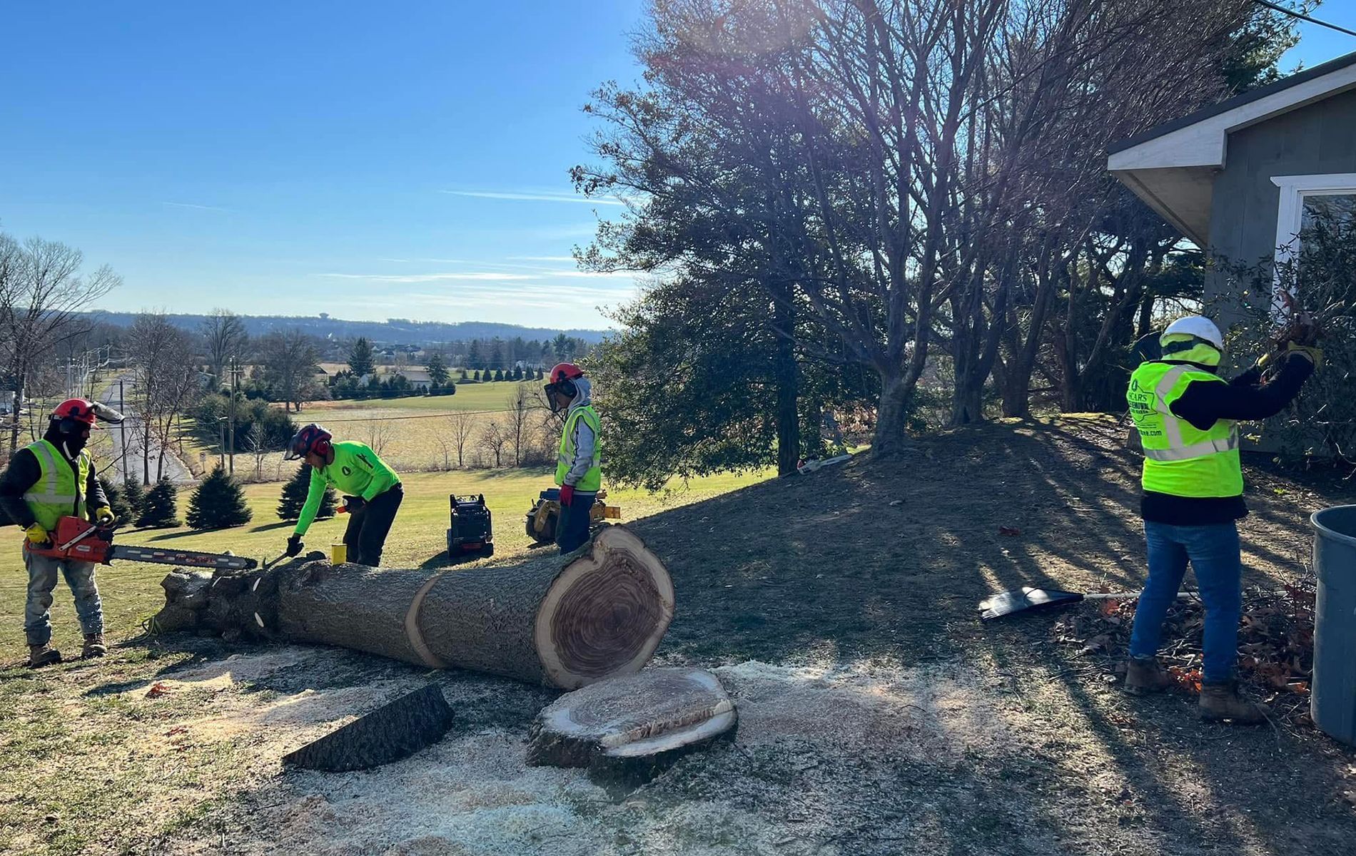 Oscars Tree Removal & Stone Veneer | Tree Service | Sellersville, PA