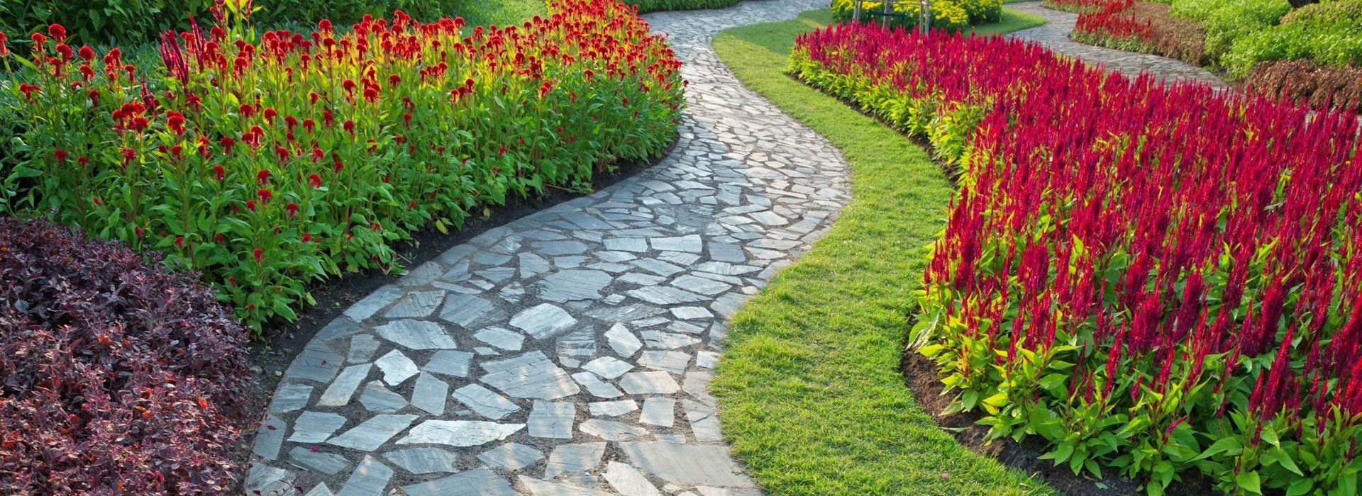 Lawn Tech Inc | Lawn Care Service | Cleburne, TX