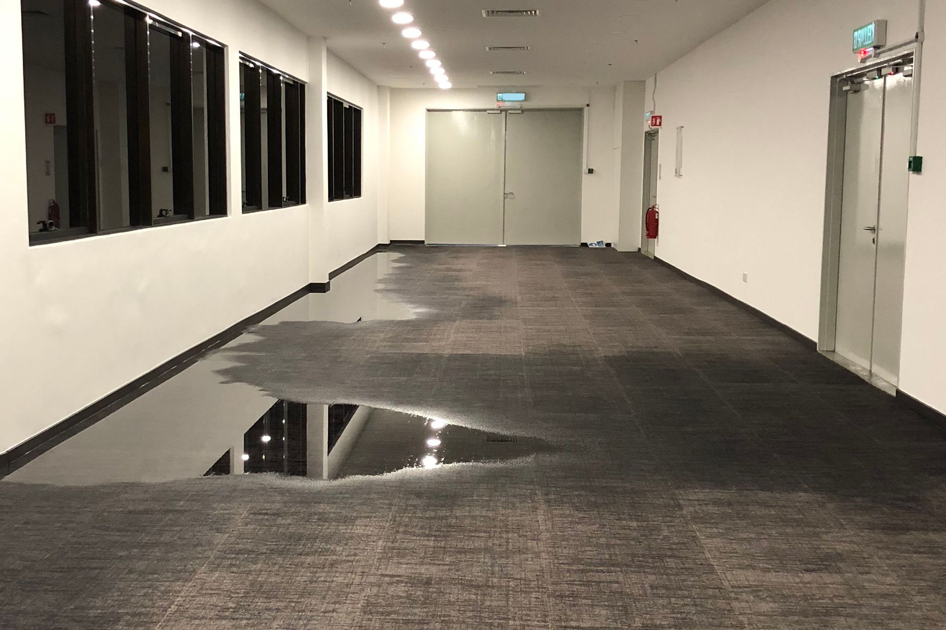 Mold Remediation | Pittsburgh, PA