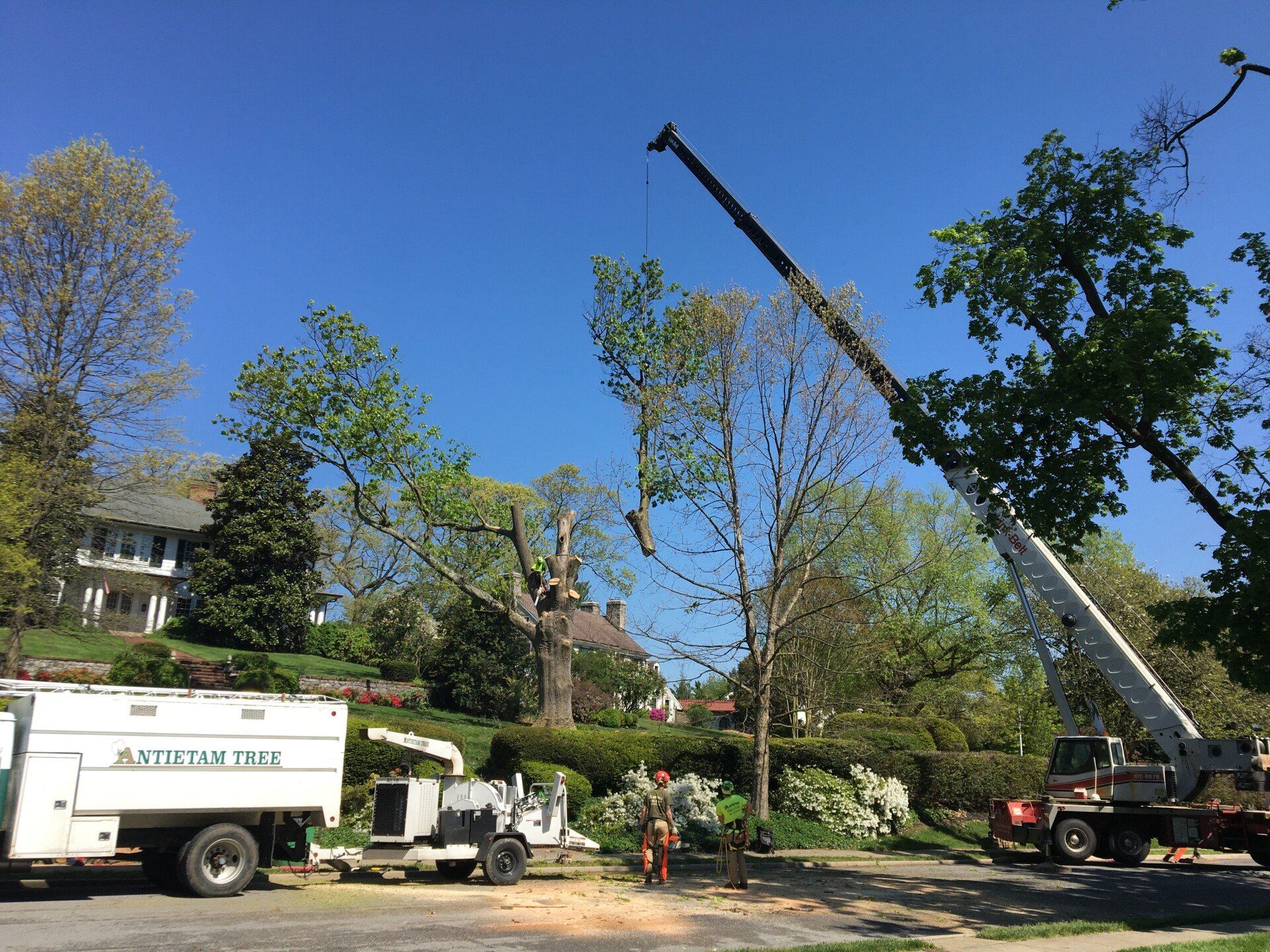 Arborist | Antietam Tree & Turf | MD, WV, PA Tri-State Area