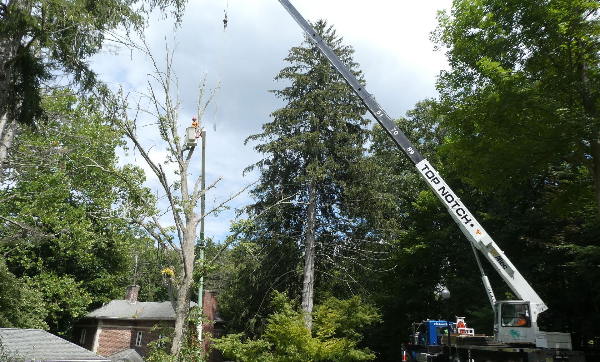 Tree Services Franklin Lakes | Top Notch Tree & Excavating