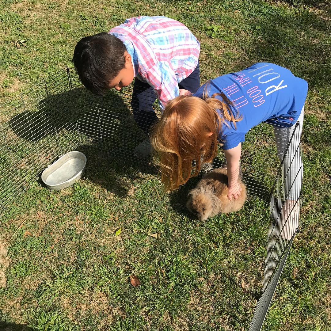 Little Country Farm & Petting Zoo | Cleveland, TN