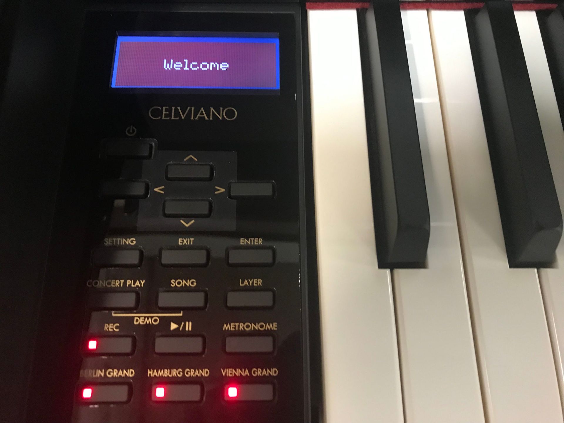 German C. Bechstein Digital Pianos Gallery | BHA Piano Center