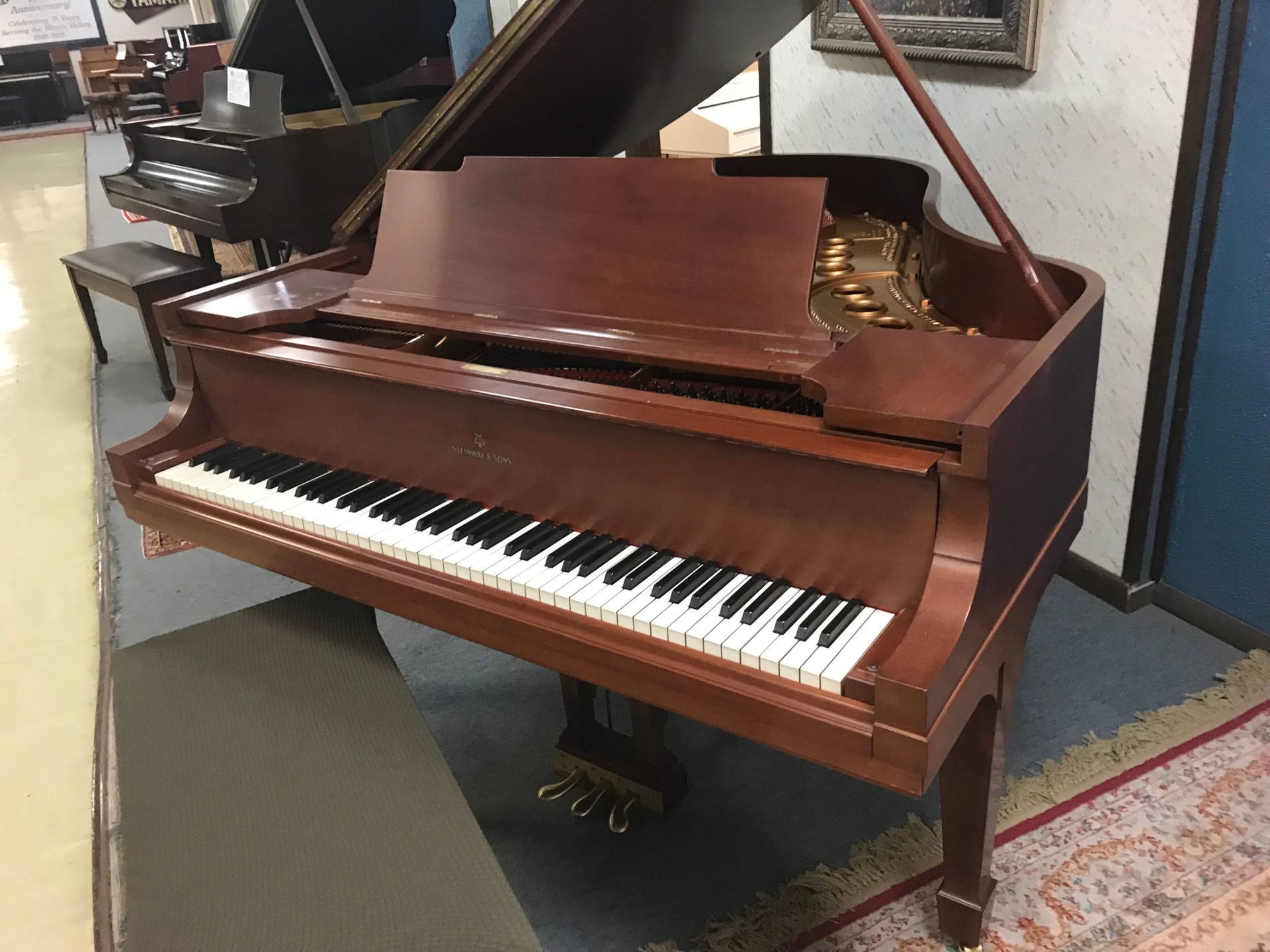 Steinway Grand Pianos Gallery | BHA Piano Center
