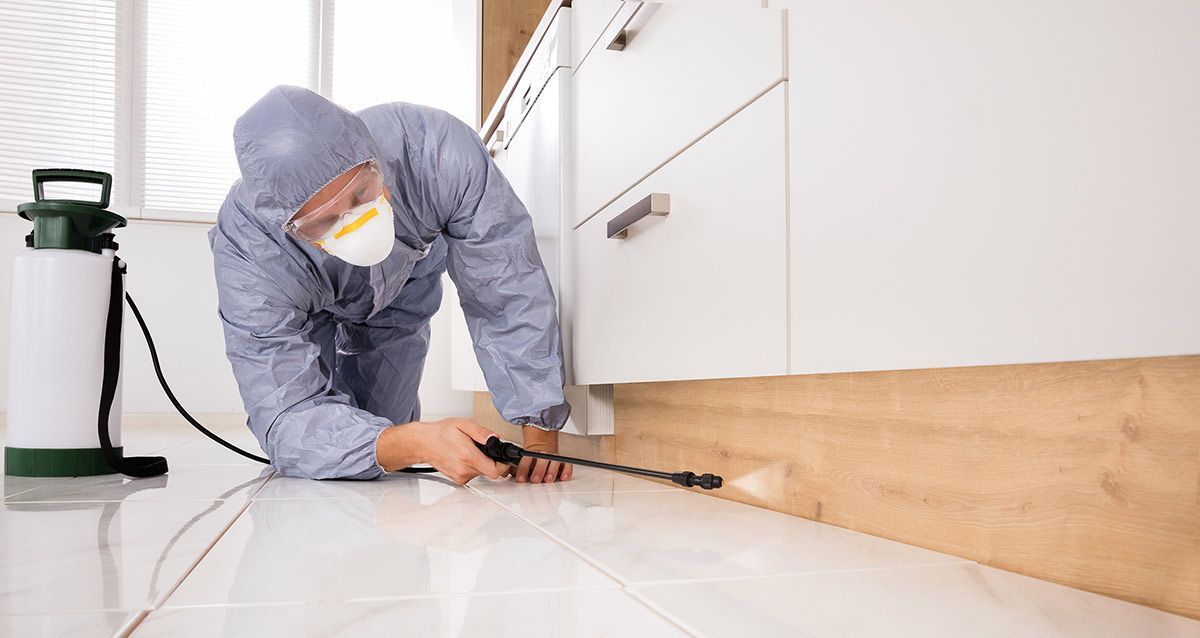 Pest Control Services Republic, MO | Springfield, MO