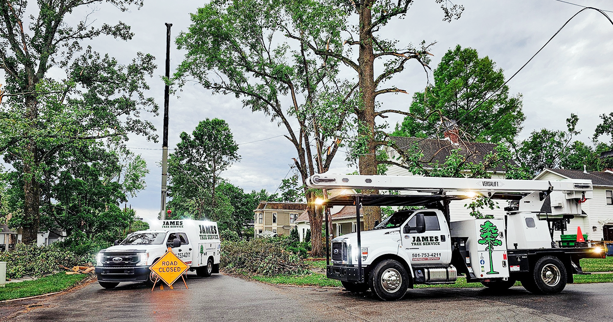 James Tree Service Team | Central, AR