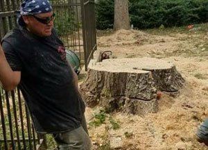 Scottie's Tree Service | Tree Removal | Staten Island, NY