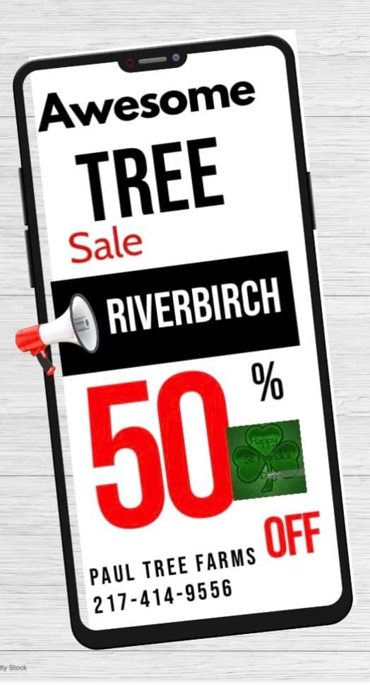 Shade Trees | Horticulturist | Pleasant Plains, IL