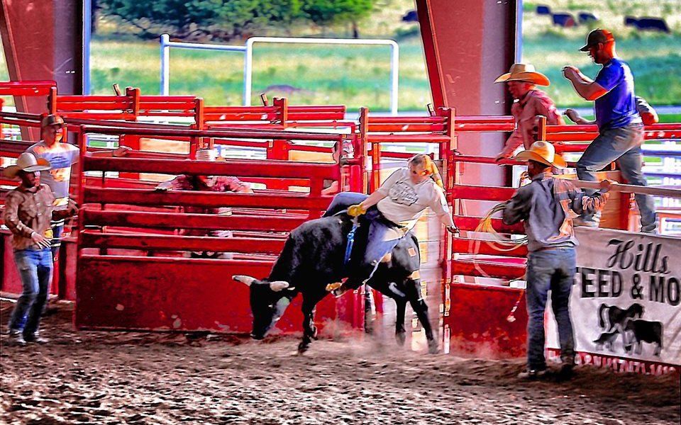 Freedom Arena | Rodeo Events | Aurora, MO