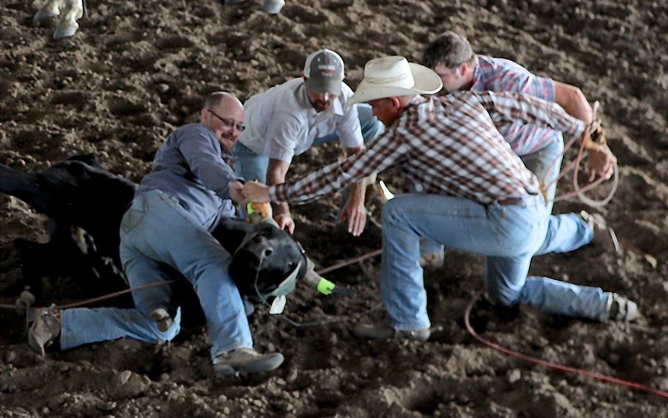 Freedom Arena | Rodeo Events | Aurora, MO