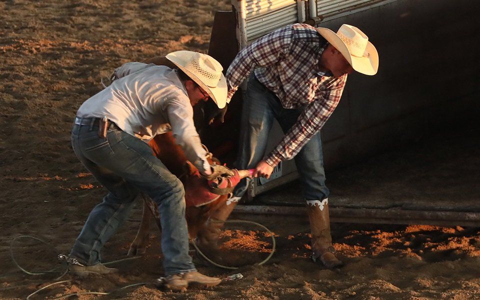 Freedom Arena | Rodeo Events | Aurora, MO