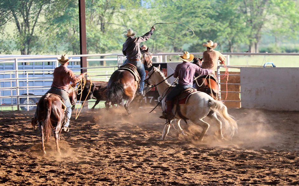 Freedom Arena | Rodeo Events | Aurora, MO