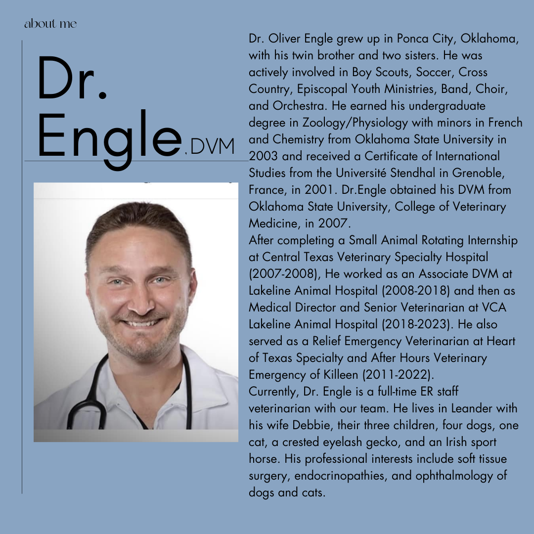 Meet Our Veterinarians | Emergency Animal Hospital of Crystal Falls