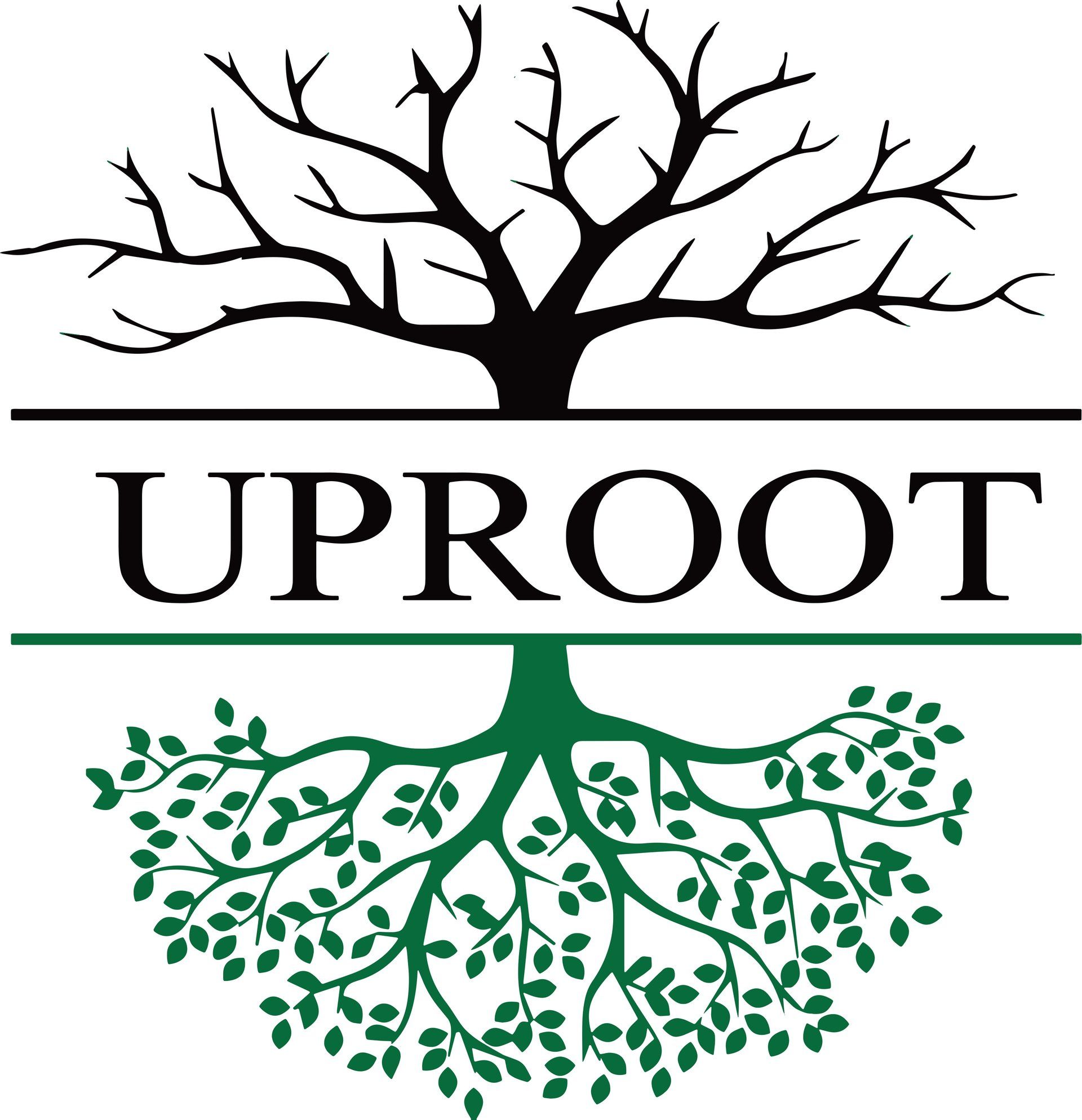 About Up Root Inc | Snellville, GA Non-Profit Organization