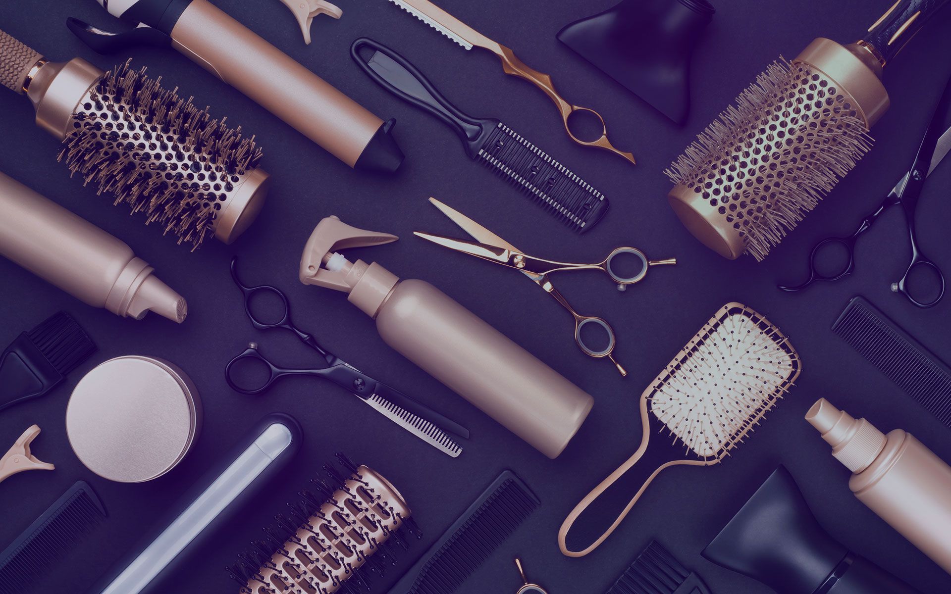 Hair Coloring | New Image | Hilo, HI