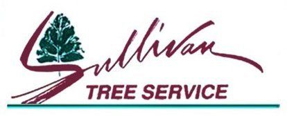 Tree Trimming | Bucket Service | Lawton, OK