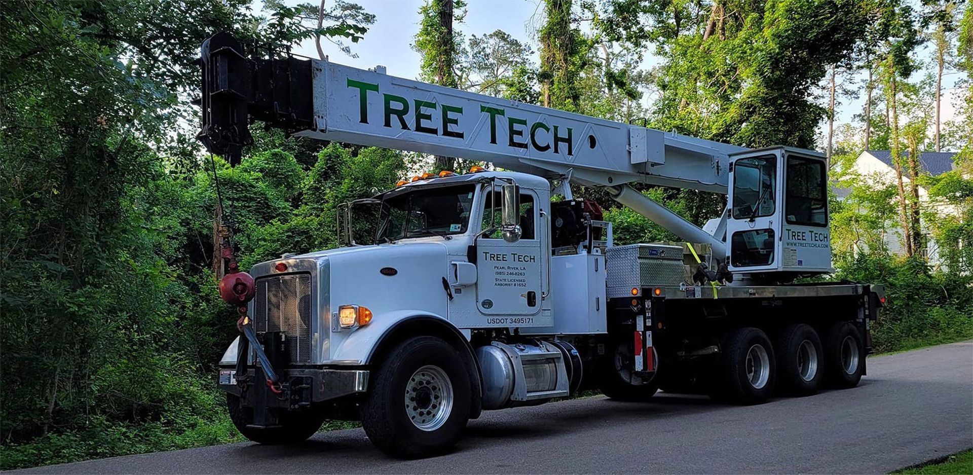 About Tree Tech of Louisiana | St. Tammany, LA Area