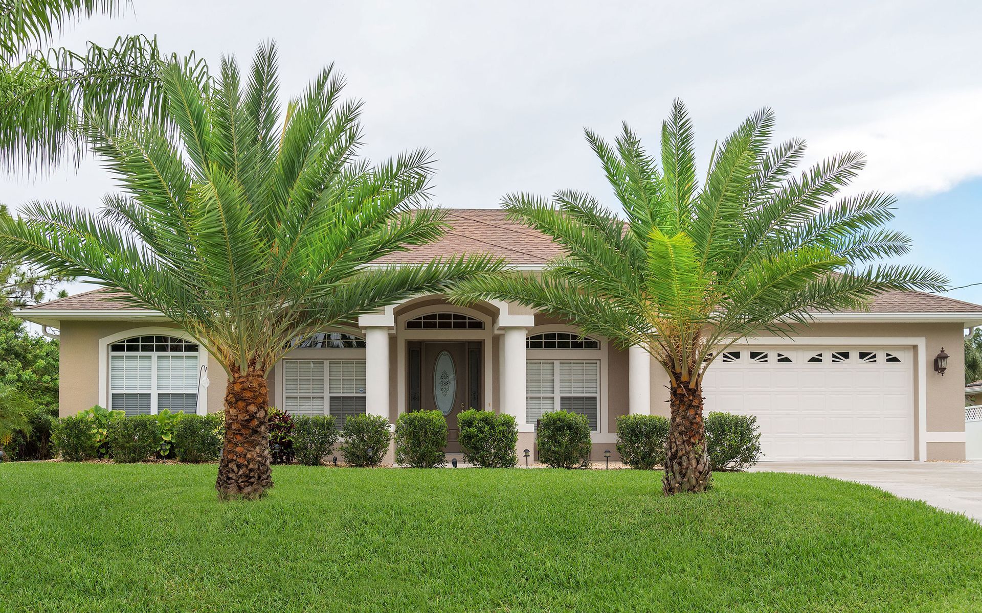 Plant Installations | Paradise Palms NC | Four Oaks, NC