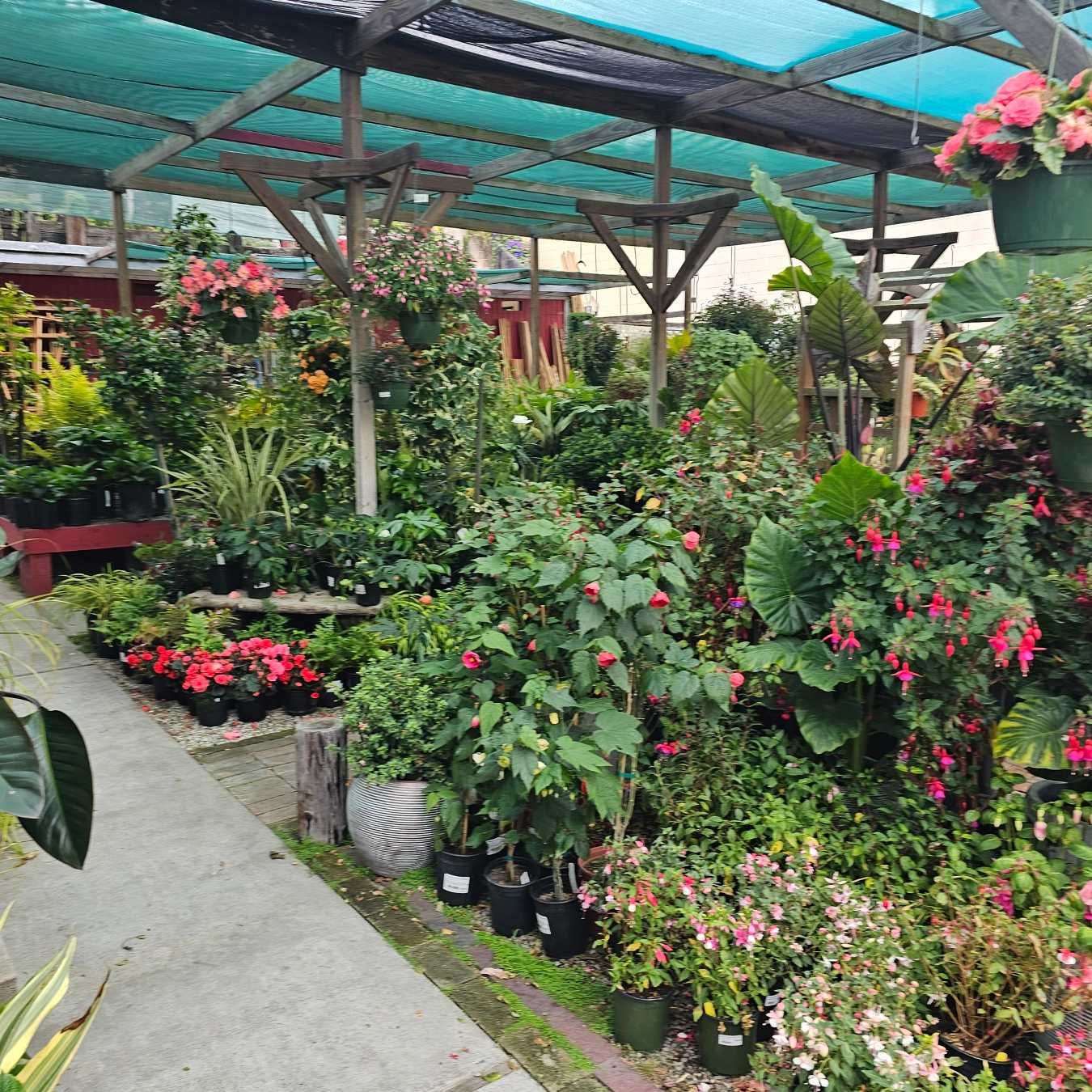 Garden Center Near Me | Deep Roots Garden Center