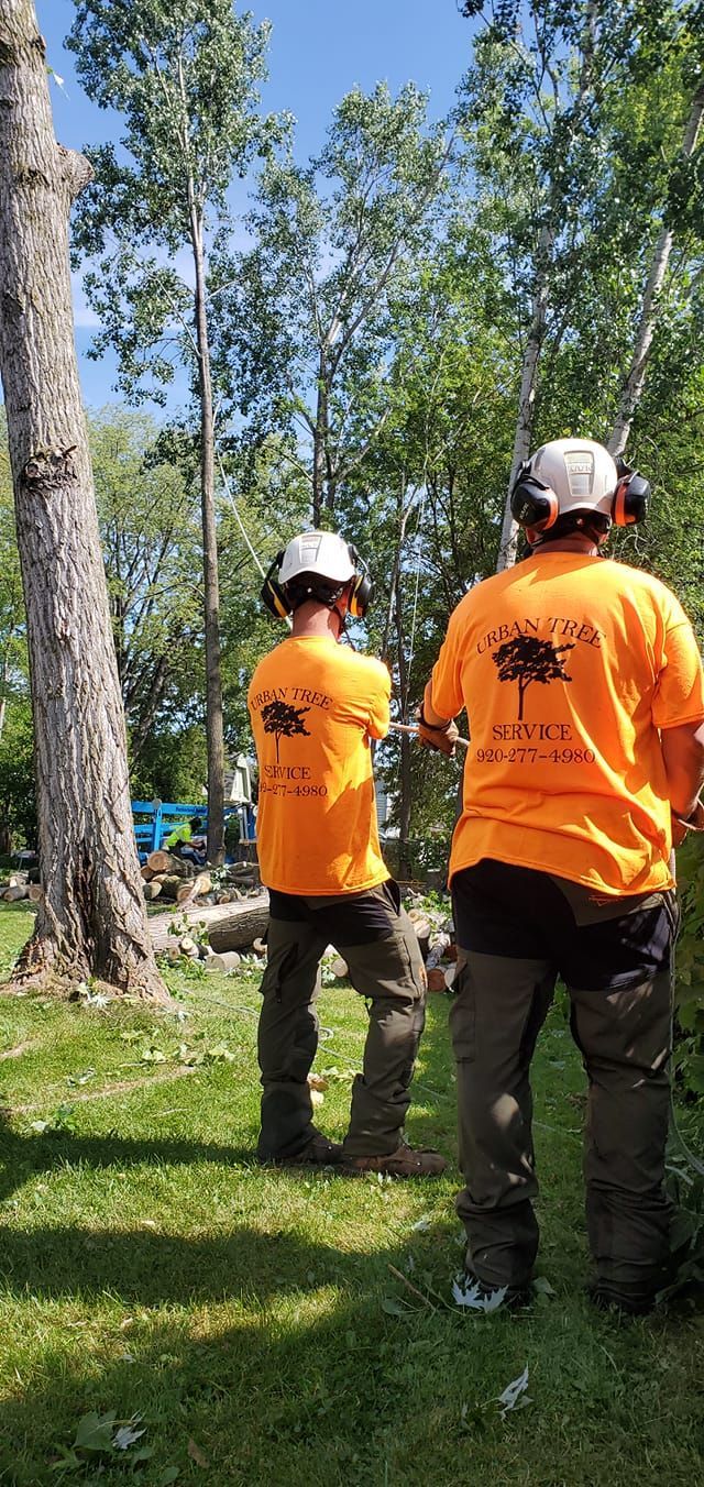 Tree Service Gallery | Urban Tree Service