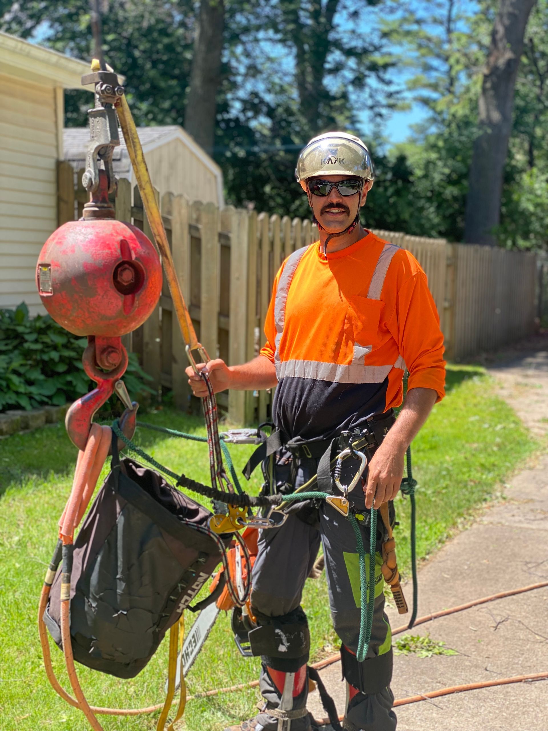 Tree Service Gallery | Urban Tree Service