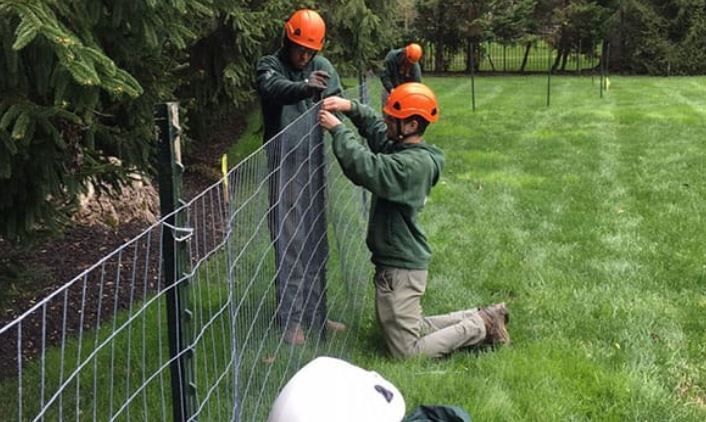 Tree Services Woodbine, MD | Mead Tree & Turf Care Inc