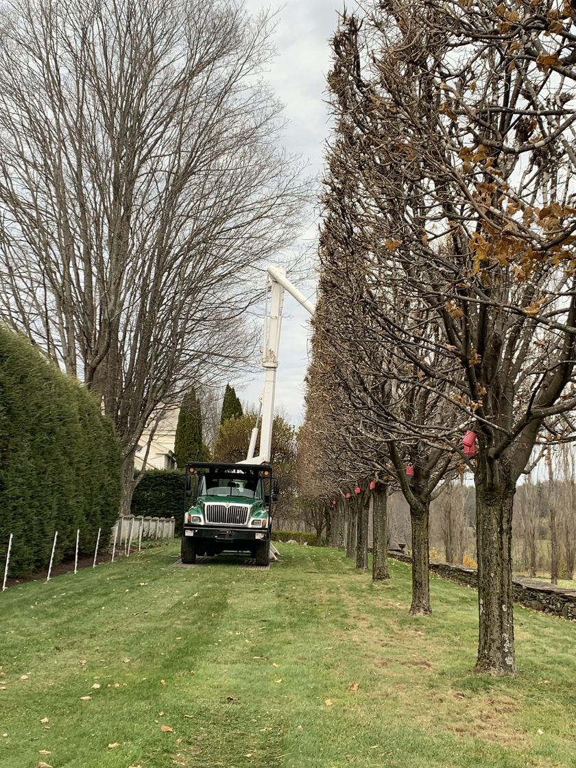 Greater Heights Tree And Land Management Inc | Bennington VT
