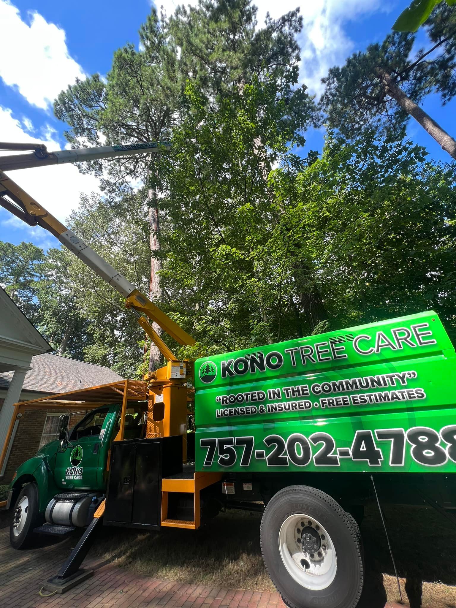 Tree Service Company Virginia Beach, VA | Kono Tree Care