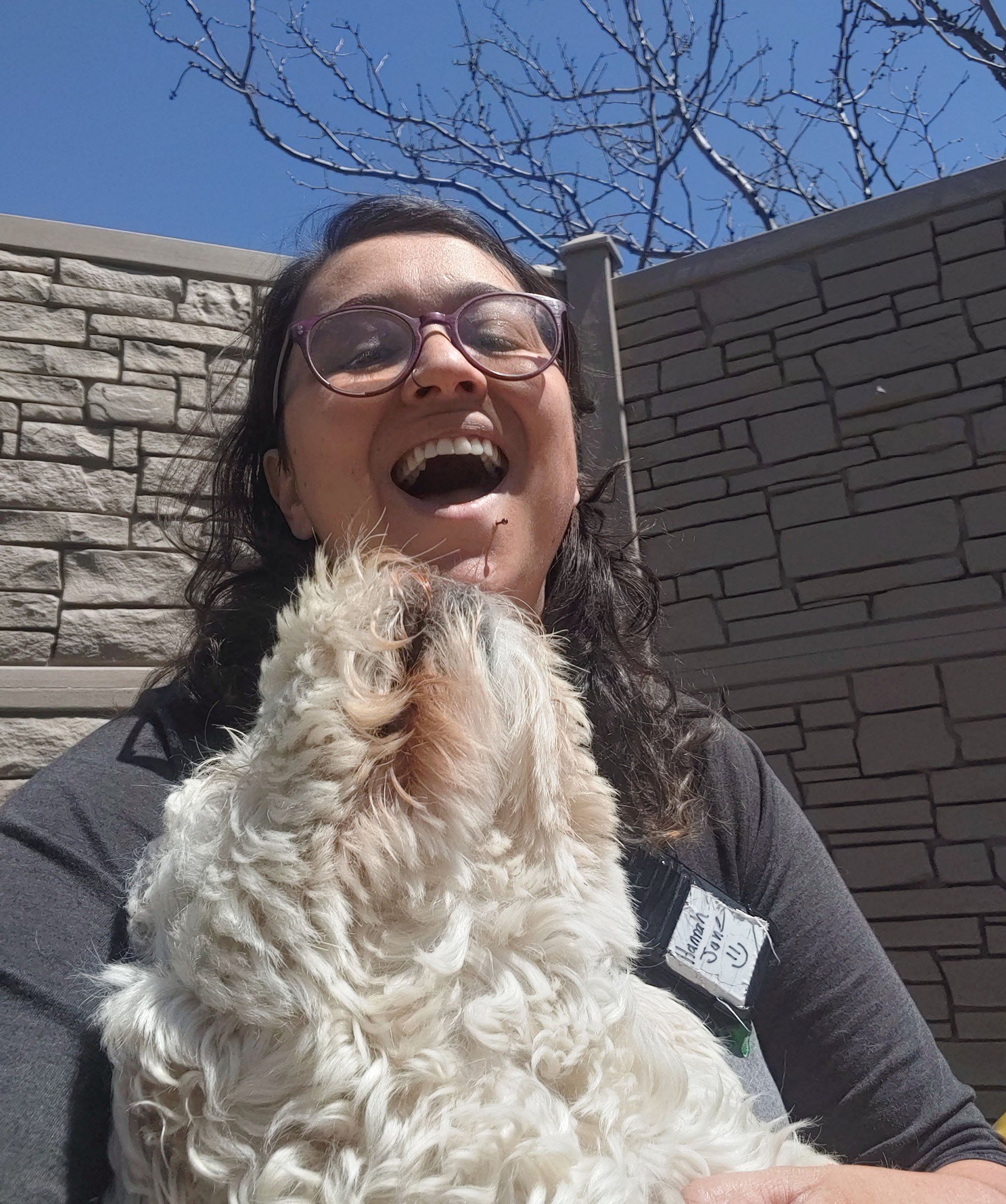 About Idaho Dog Park | Boise, ID Pet Grooming