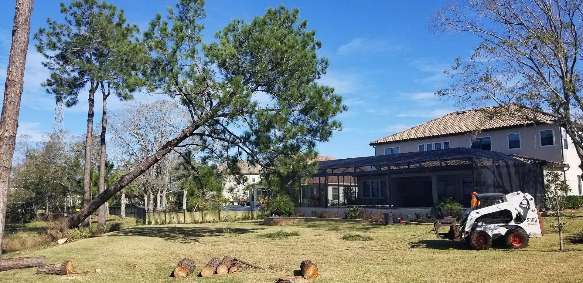 Evergreen Tree Service Inc | Arborist | Largo, FL