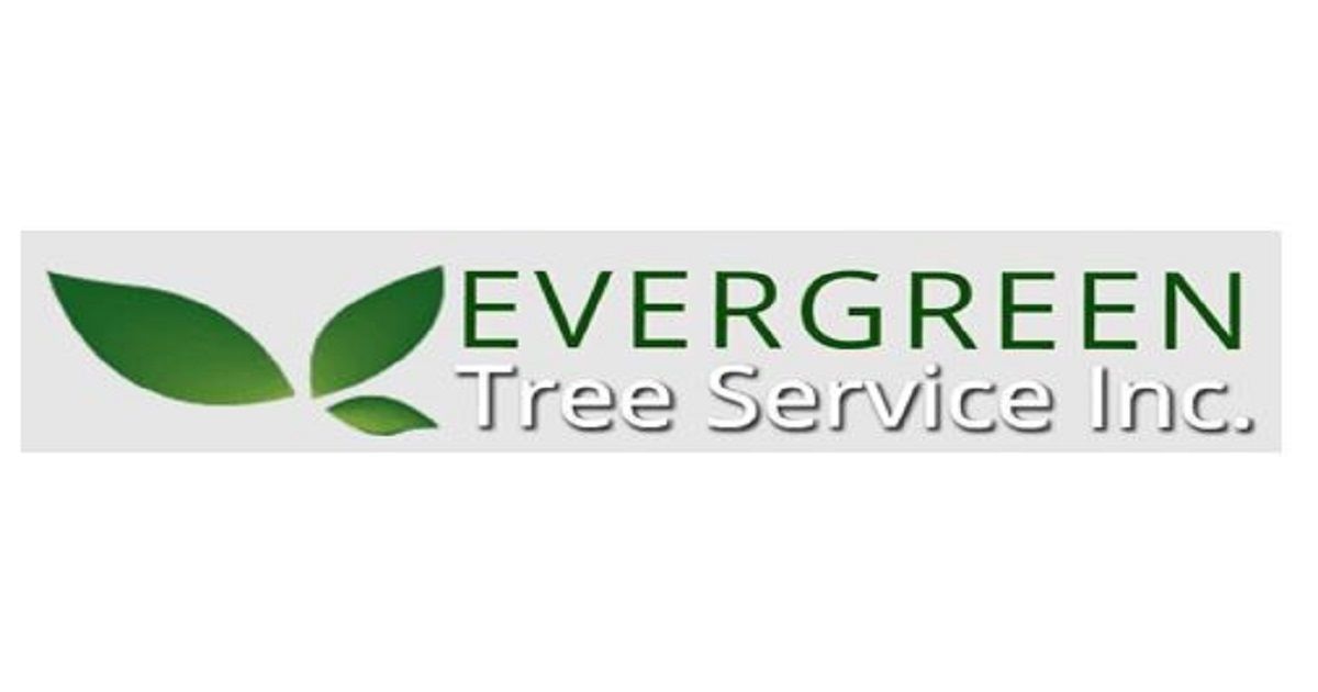 Evergreen Tree Service Inc | Arborist | Largo, FL