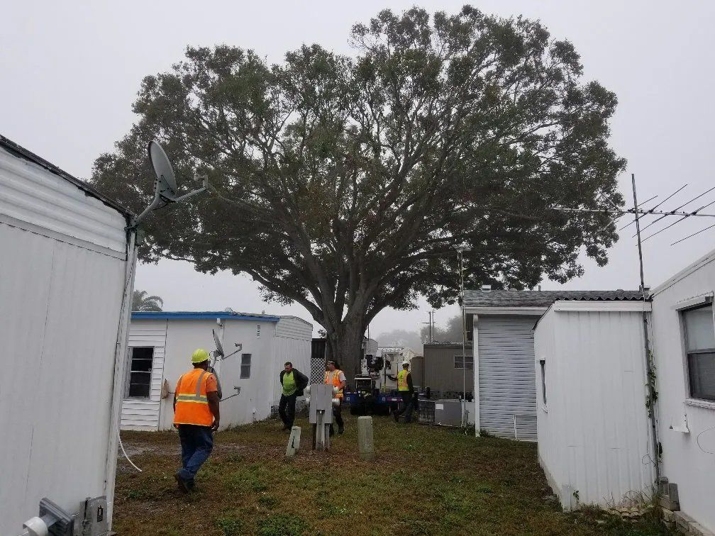 Evergreen Tree Service Inc | Arborist | Largo, FL
