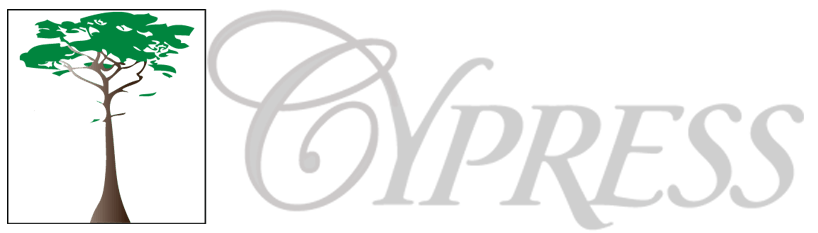 Auto Life Insurance Group | Insurance | Sarasota, FL