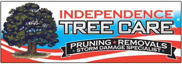 Independence Tree Care Testimonials Clarkston Tree Services